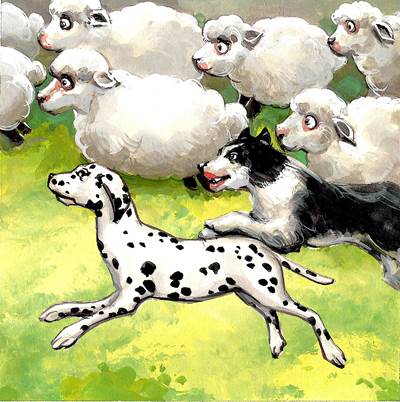 Pigole le dalmatien berger, histoire animaux pour enfant à lire ou à ...